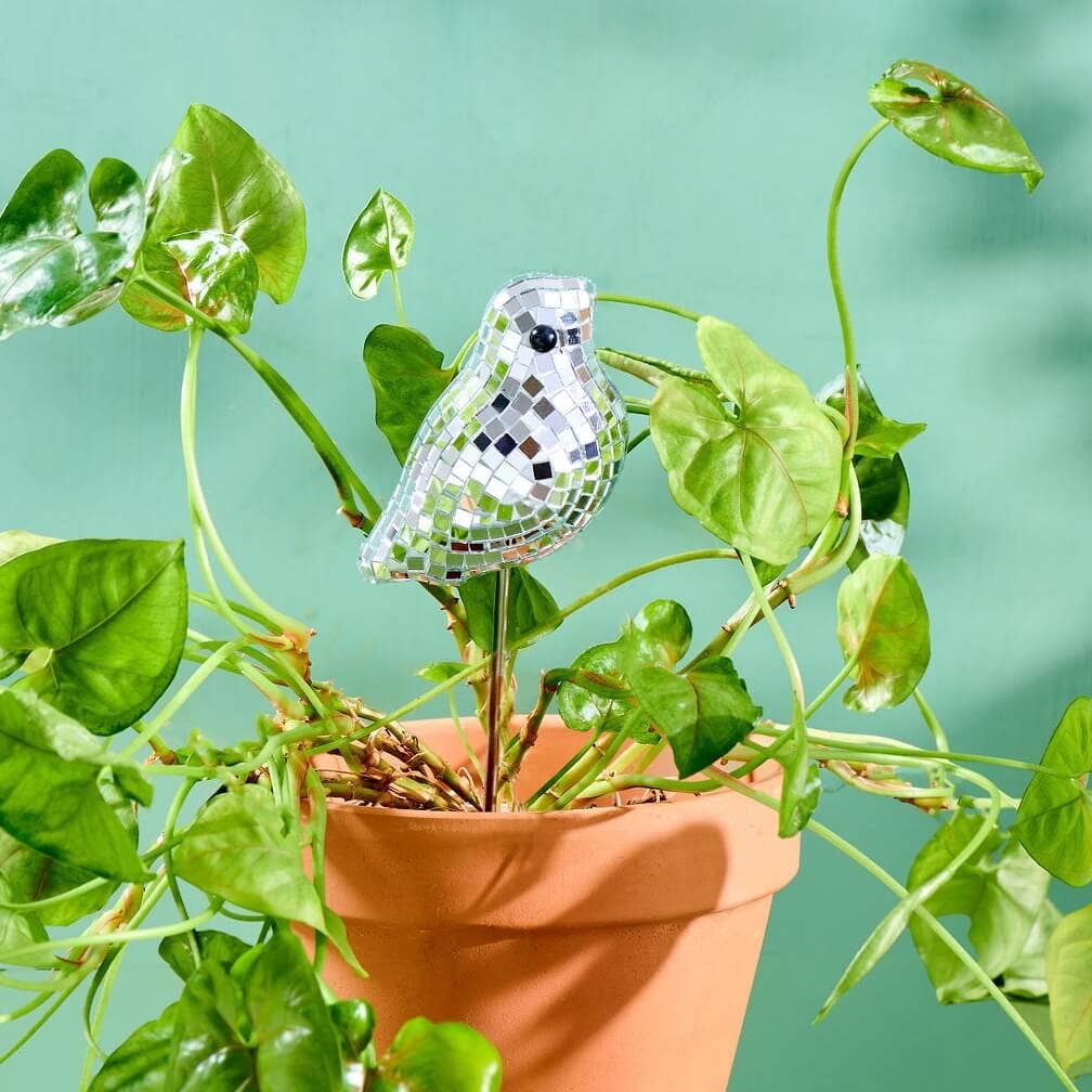 Disco Bird Plant Stake – The Giddy Up